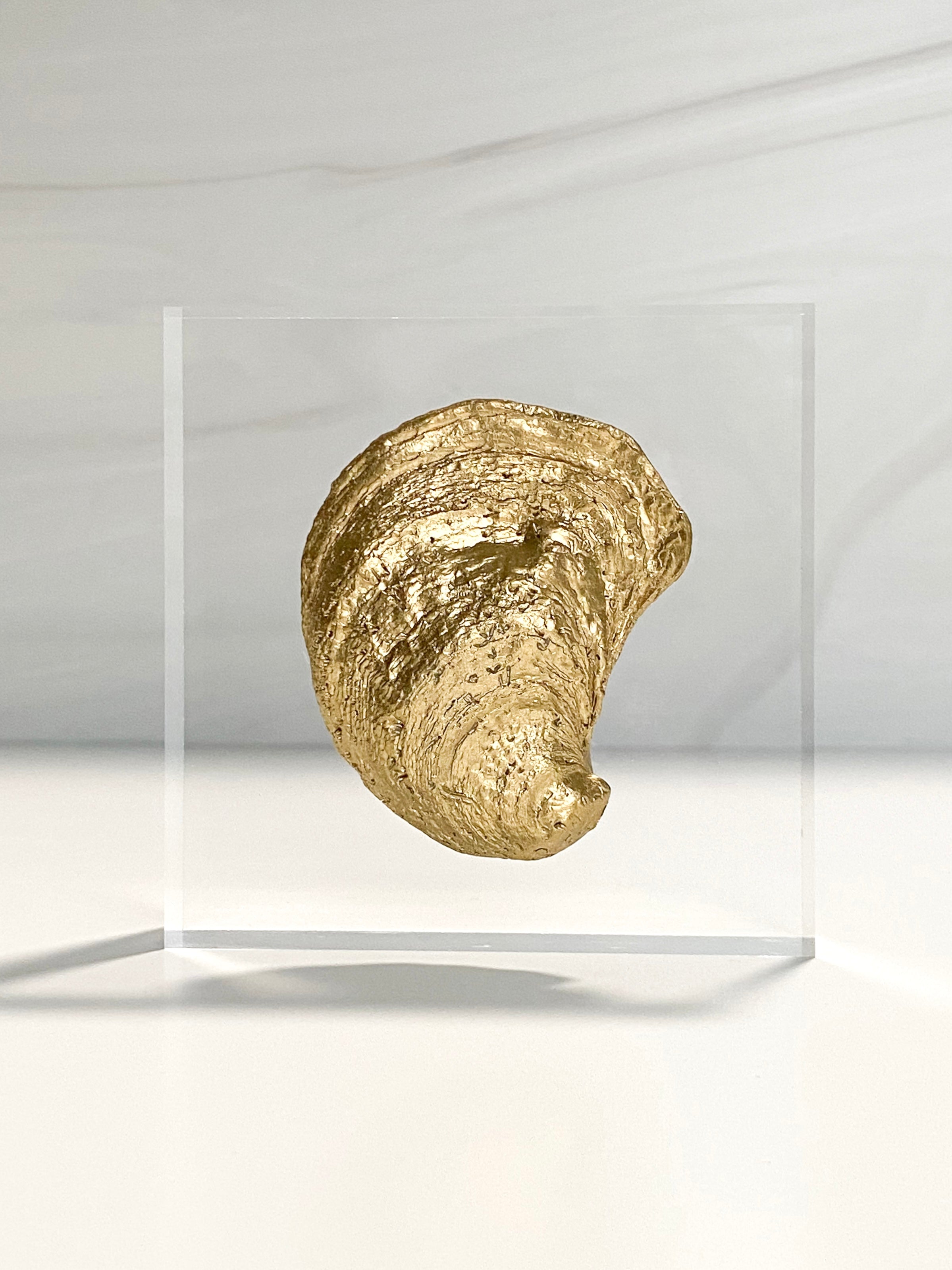 Decorative Acrylic Blocks – Southern Oyster Company